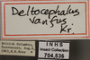 TaxonPages: World Auchenorrhyncha Database - Deltocephalus vanfus Kramer, 1971