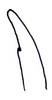 Orthoptera Species File - Comicus carnalli Irish, 1995